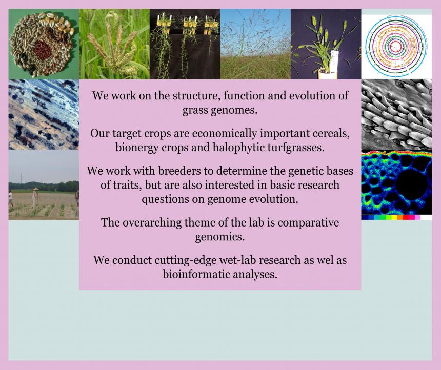 Welcome to the Devos Lab | Devos Lab